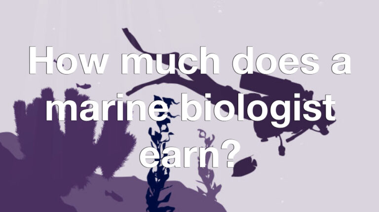 How to become a Marine Biologist?- Education, Jobs and Salary - ThePhDHub